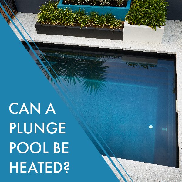 Plunge Pools, Spas, Lap Pools | Small Swimming Pools